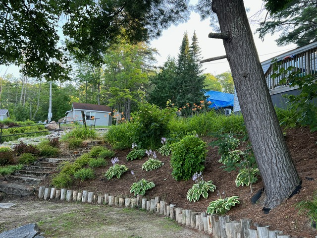 Muskoka Cottage Resort & Family Vacations | Forest Rock Cottage Resort