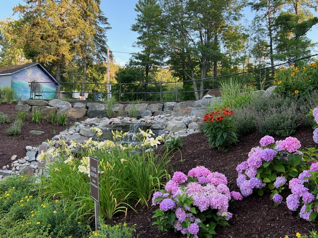 Muskoka Cottage Resort & Family Vacations | Forest Rock Cottage Resort